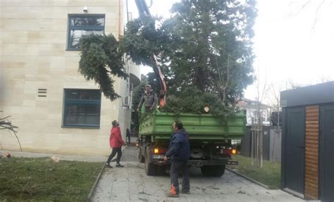 Община Враца се обърна за помощ към гражданите за почистването на града след ураганния вятър