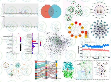 生物信息学分析 森煜智研科技