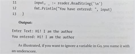 Book Review Beginning Go Programming Boldly Go