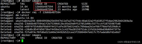 Docker快速入门docker相关包 Csdn博客