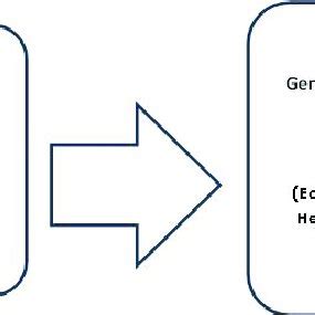 Schematic Diagram Of The Study Download Scientific Diagram