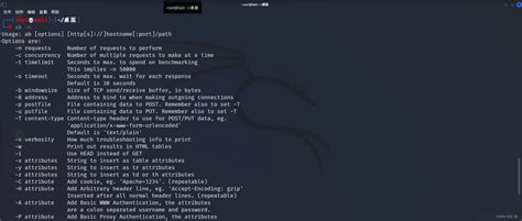 Ab命令压力测试攻击ab攻击 Csdn博客