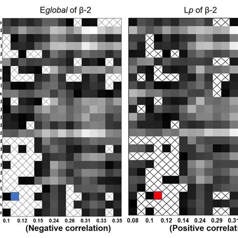 The Relationship Between Brain Function Network And Peripheral Download Scientific Diagram
