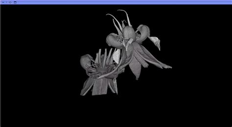Exporting Nrrd Files As Tiff Image Stack Support 3d Slicer Community