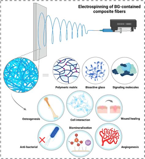 Schematic Illustration Of The Fabrication Of Electrospun Bg Containing Download Scientific