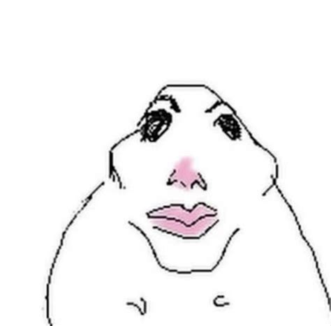 Pin By Kace Yay On Pins By You Funny Hamsters Reaction Pictures Really Funny Memes