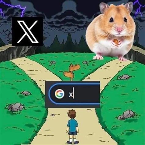 Search For X Twitter Rebrand To X Know Your Meme