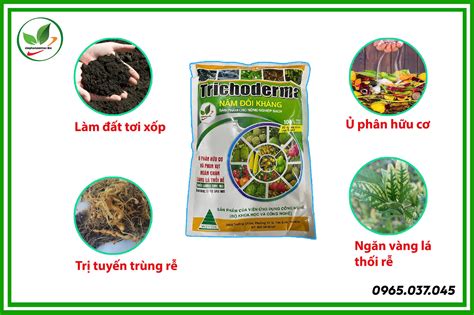 Nấm đối Kháng Trichoderma