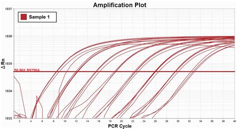 The Purpose Of Rox Reference Dye In Real Time Pcr Qpcr Behind The Bench