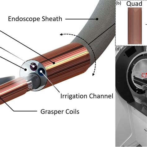 Endoscopic System Overview A Computer Rendering Of Endoscope End