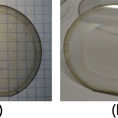 The Stress In A Gan Film On A Sapphire Substrate With Thickness Of 430 Download Scientific