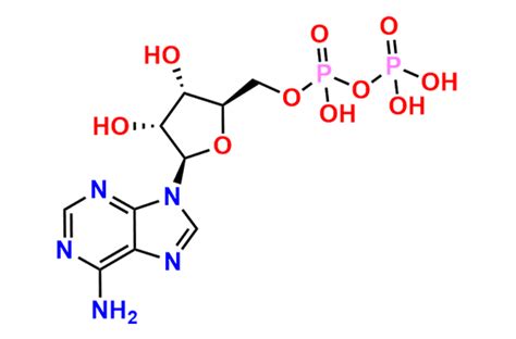Adenosine Diphosphate Cas No 58 64 0 Adenosine 5′ Diphosphate