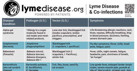 Lyme Disease Vs Tick Fever At Rose Longstaff Blog