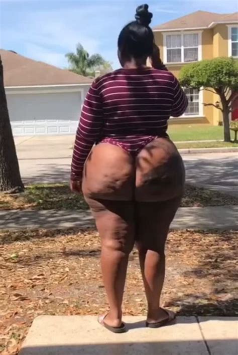 Fyebottom Tumbex