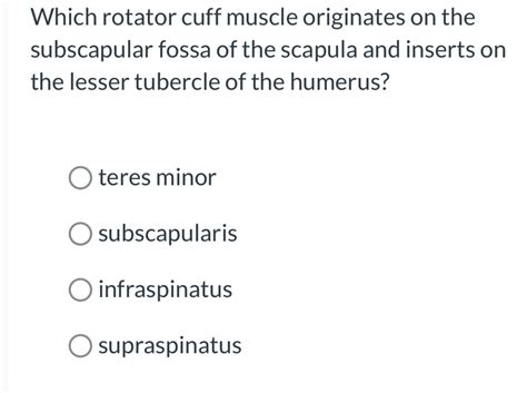 Which Rotator Cuff Muscle Originates On The Subscapular Fossa Of The Scapula And Inserts On The