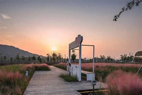 乡伴·肖家巷理想村——特色田园乡村的升级和20模式凤凰镇