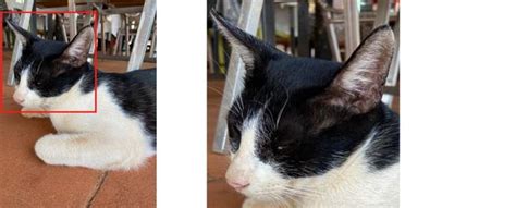 Python Imaging Library Pil