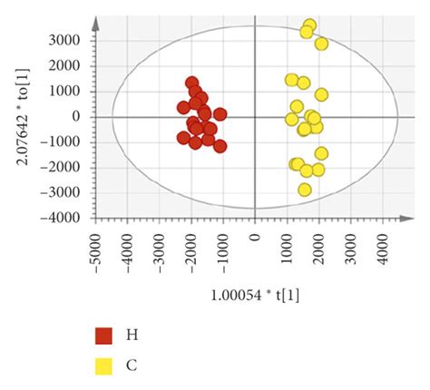 Group Es Pca Score Plot Opls Da Score Plot And Permutation Test Plot