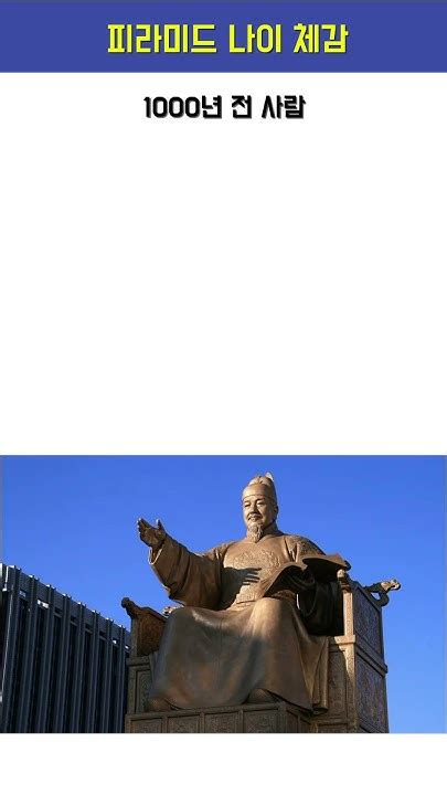 피라미드 나이 체감 Youtube