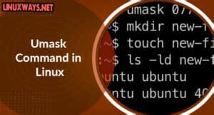 Umask Command In Linux LinuxWays