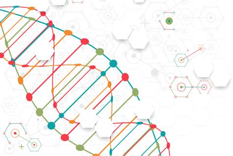 Program Optimization A New Kind Of Cro