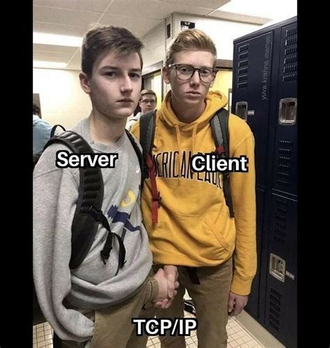 программист давай в тг канал 💻 In 2025 Programmer Humor Computer