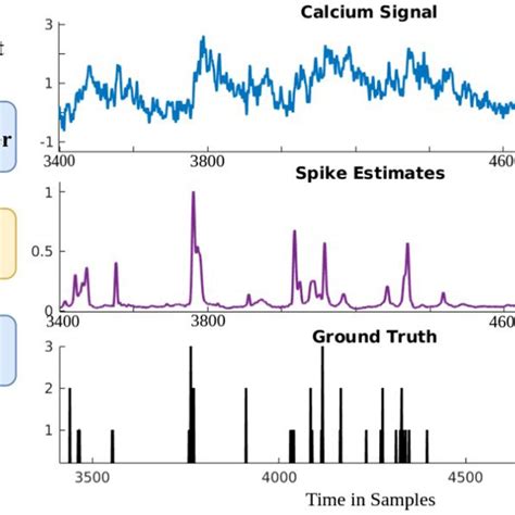 Signal To Signal Neural Network S2s Left Block Diagram Of The