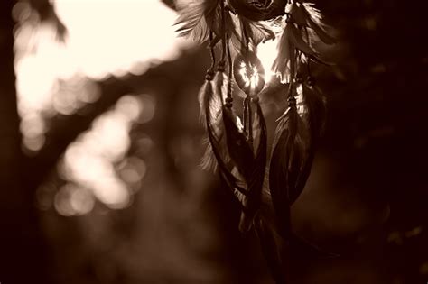 세피아 스타일에서 자연 배경으로 꿈 캐처에 소프트 포커스 네이티브 아메리칸 드림 포 수입니다 Boho 세련 된 민족 부적입니다 거미에 대한 스톡 사진 및 기타 이미지