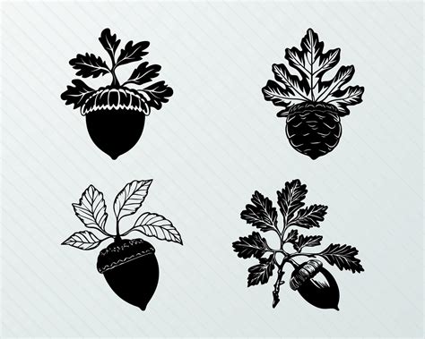 Acorn Svg Png Acorn Clipart Acorn Silhouette Fruit Decal Acorn Vector Art Acorn Outline