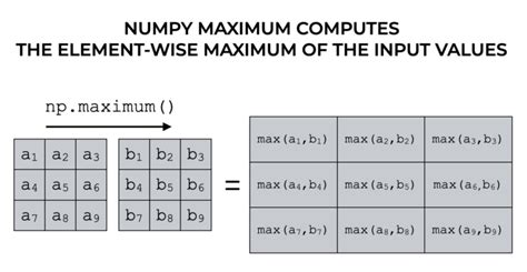 How To Use The Numpy Maximum Function Sharp Sight How To Use The Numpy Maximum Function Sharp Sight