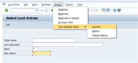 how to check which user utilized maximum sm12 lock in sap buddysap