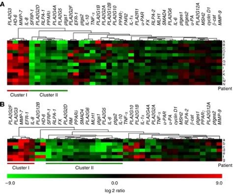 Hierarchical Clustering Of Genes Heatmaps Comparing The Log 2 Ratio