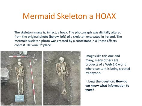 Evaluating Sources Pptx