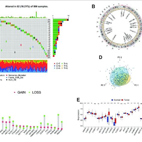 Construction Of M6a Signatures A Unsupervised Clustering Of