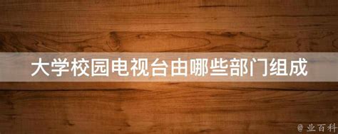 大学校园电视台由哪些部门组成 业百科
