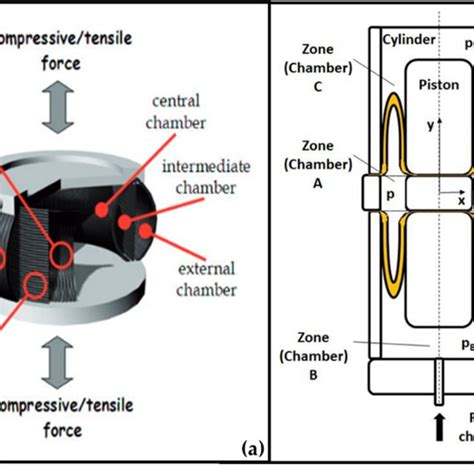 Bidirectional Pneumatic Deformable Actuators Bifac 45 A And