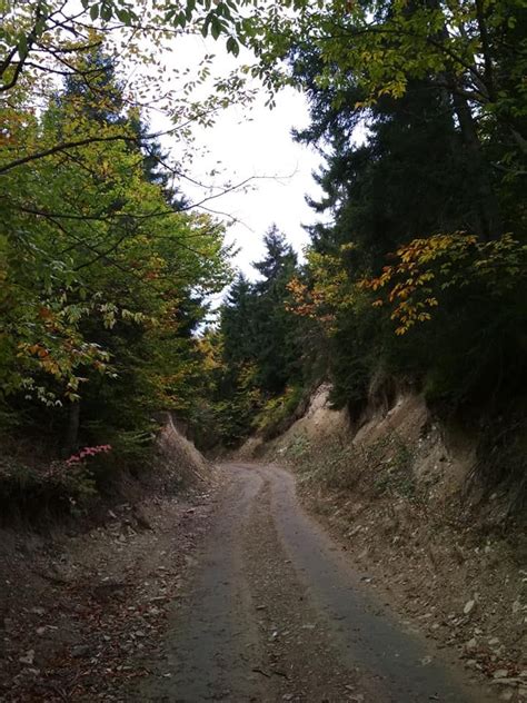 სარკის წმინდა გიორგის მამატა მონასტერი შიდა ქართლი 0 Gel ფარადაის თრეველი