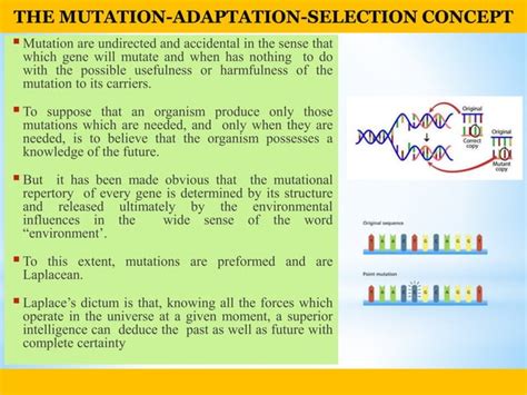 Mutation Adaptation And Selection Concept Ppt