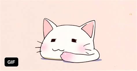 Lucky Star Blobcat 9gag