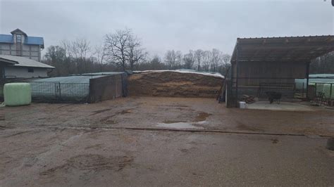 Модерна фарма за врхунску производњу млека робот се највише пита Удружење новинара за