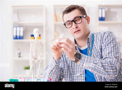 Létude De Létudiant En Médecine En Classe Squelette Au Cours De