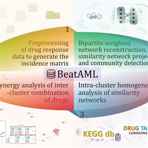 Dsn And Psn Of The Beat Aml Dataset The Force Directed Layout Was