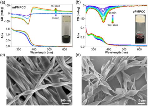 Photocyclization‐induced Emission Enhancement And Circularly Polarized Luminescence Inversion Of