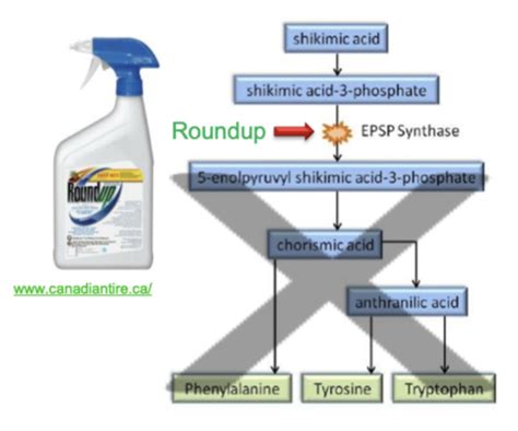 Csb459 Lecture 1 Part 1 Flashcards Quizlet
