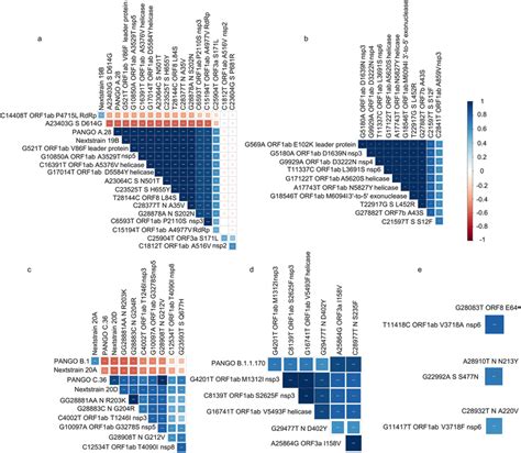 Correlations Between Different Mutations Shown By Linkage Disequilibrium Download Scientific