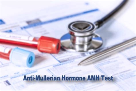 What Is AMH Is AMH Testing Necessary For Women