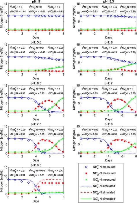 Measured And Simulated Ammonium Nitrite And Nitrate Concentrations