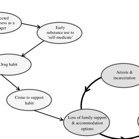Conceptual Framework To Understand The Prison To Community Transition Download Scientific