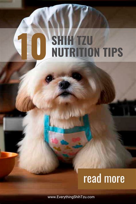 Ultimate Guide To Shih Tzu Diet And Nutrition Artofit