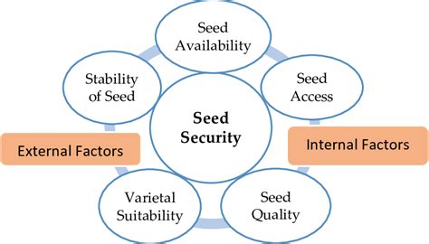 Seed Security Framework Source Authors Synthesis 2020 Download Seed Security Framework Source Authors Synthesis 2020 Download